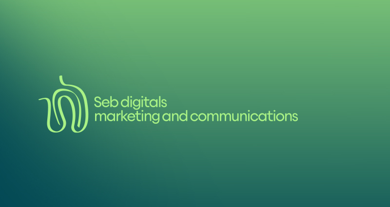 Seb Digitals | Best Digital Marketing Agency in Ethiopia